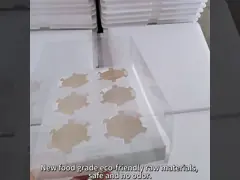 China Custom Clear PET Plastic Cake Packaging Boxes 6 Count Convenient Assembly for sale