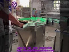 1977 L14 Magnetic Pump Glass Bottle Aluminum Cap 1-1 Filling and Sealing Integrated Machine
