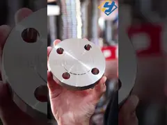 China Decoration JIS Steel Pipe Flanges 2 inch Welding RF Stainless Steel Blind Flange for sale