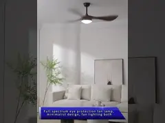 LED Ceiling Fan Lights