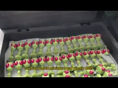 Custom Plastic Vinyl and PVC Figure Manufactuer
