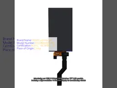 China 400nits HD TFT LCD Display Module 5.98 Inch 1440x2560 Optional CTP for sale