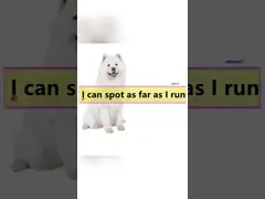 China Voice Guidance RFID Pet Smart GPS Tracker Long Range Detection Global Coverage Cellular for sale