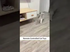 Emotional Pet Companion Robot Portable Educational Voice Control Social Robot