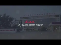 Three Roots Blower with Direct Coupling Drive 110KW-1400KW Rated Power