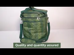 China Portable Collapsible Insulated Bag Cooler Waterproof Lightweight Large Soft With Padded Shoulder Strap for sale