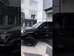 China Good Condition New Version Adult Personal High Speed New Energy Hybrid EV Gas New Car for sale