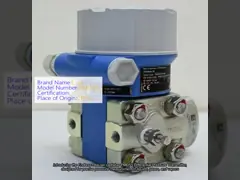 China 100% Original Authentic Endress-Hauser PMD55 E H Deltabar Differential Pressure IP65 Rated ABS Plastic Material for sale