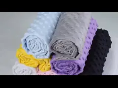 China Multifunctional Minky Infant Blanket Soft Minky Blankets Skin Friendly for sale