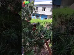 China Waterproof Dinosaur Playground Equipment Animatronic Dinosaur Puppet For Dino Park for sale