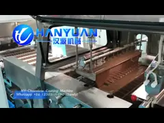 China Energy Bar Protein Bar Cereal Bar Chocolate Coating Machine for sale