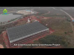 Our Venlo Glass Greenhouse Project