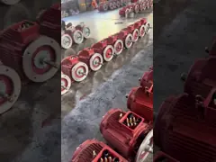 China NEMA Premium Efficiency Motor 50HP AC Three Phase 230/460V with IP55 Protection and 1.15 Service Factor for sale