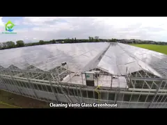 Cleaning Venlo Glass Greenhouse