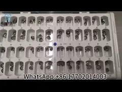 China Primary Molar Stainless Steel Dental Kids Crown Refill Pack Orthodontic and Orthodontic for Children for sale