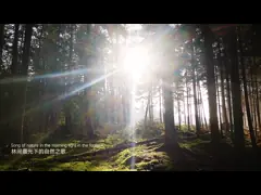 China Eco Friendly Wood Grain Decorative Paper Decor Base Paper For Wardrobe And Kitchen Cabinet for sale