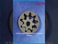 China the ceramic gear used in gear pump for sale