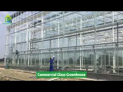 AX Greenhouse Project--Commercial Glass Greenhouse
