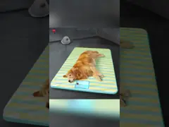 China TPU Liner Pet Smart Beds Chew Resistant Cord Cat Sleep Mat OEM Logo for sale