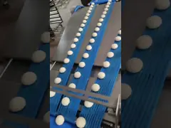 How an Auto-Arranging Tray System Works – High-Speed Food Production Line