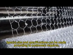 China Galvanized Chicken Hexagonal Wire Mesh Fencing Poultry Netting for sale