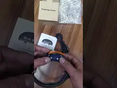 Cina Scuola di obbedienza Collare di shock regolabile per animali da compagnia Collare di addestramento per cani bluetooth impermeabile in vendita