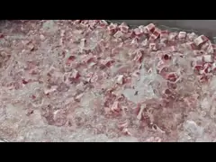 China Multi-Functional Meat Washing Machine With 2.25KW Power for sale