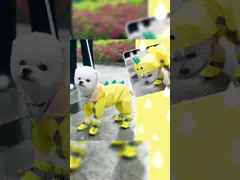 China 3D Tailoring High Elasticity dog raincoat with hood Thickened Customized Logo for sale