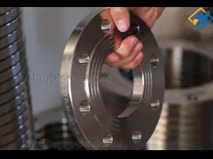 Stainless Steel Plate Flat Flanges Customized ANSI DIN JIS Stainless Steel 304 316 PL Flange