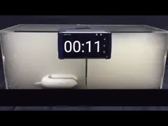 Cina Mini generatore di plasma Air Guardian per uso commerciale in ambienti interni o esterni in vendita