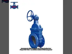 Ductile iron casting resilient seat flanged gate valve Z45X-16Q