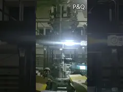 10 head Multihead Weighing Machine working with Packing Machine for Potato Chips Packing