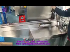 1961 O49 Disposable Bird's Nest Bowl Single Head Vacuum Nitrogen Filling Sealing Machine