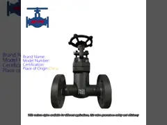 Bellow sealed gate valve