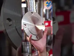 Stainless Steel Blind Flanges
