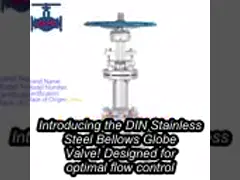 中国 一般用途のための二方向流量DINステンレス鋼のバルブバルブ 販売のため