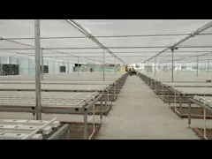 Estufas para PVC NFT sistema de cultivo hidropônico