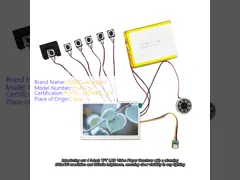 LCD Video Palyer Brochure 800x480 4.3-Inch TFT Display 350nits Brightness