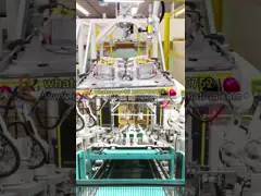 Factory Live Shooting: Automotive A/B/C Pillar Trim Plastic Welding Assembly Line