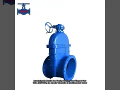 China General Application Excellent Sealing Ductile Iron Gate Valve with Brass Trim Material 18 Months for sale