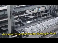 China Galvanized Fixed Knot Fence Grassland Cattle Sheep Farm Fence Wire Mesh for sale