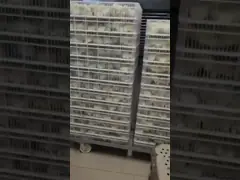 卵多段階完全自動化保育器 鶏