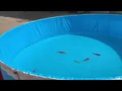 China Customized Canvas Fish Pond For Sustainable Aquaculture And Protect Water Environment for sale