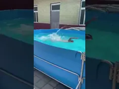 China Customizable Inflatable Swimming Pools In Various Sizes And Canvas Material Easy Setup for sale