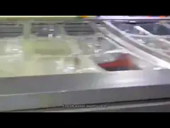 China cake container with lid clear rectangle plastic blister bread box disposable pastry snack clamshell box for sale