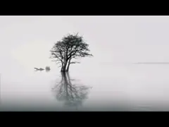 China Multiple Colors Decorative Laminate Paper Printed Decorative Paper For Impregnating And Wood Based Board for sale