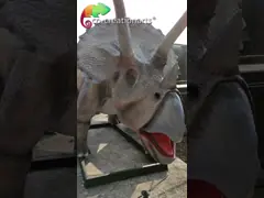 7M Dino Animatronic Realistic Tricratops Large Outdoor Dinosaur with Tail move