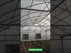 Serra a dente di segatura serra a pellicola di plastica tropicale