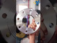 China Pressure Class150 300 Stainless Steel Flanges RF Welding ASTM Pipe Plate Flange for sale