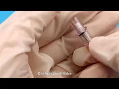 Check Valve